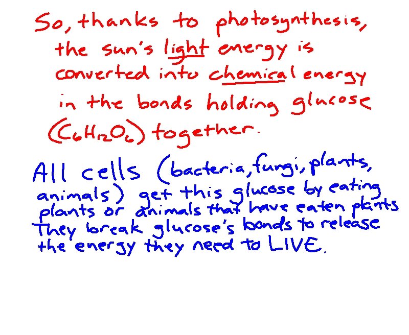 Photosynthesis and Respiration Song 1 Song 2 Energy