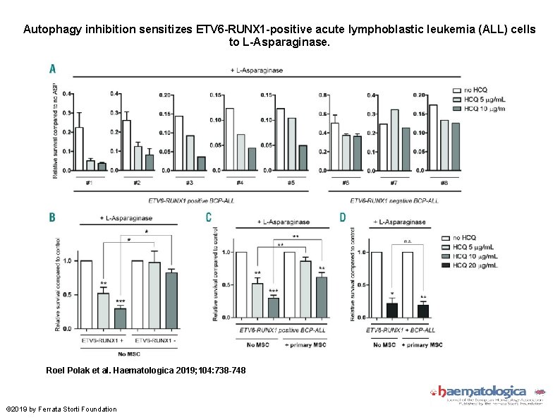 Autophagy inhibition as a potential future targeted therapy