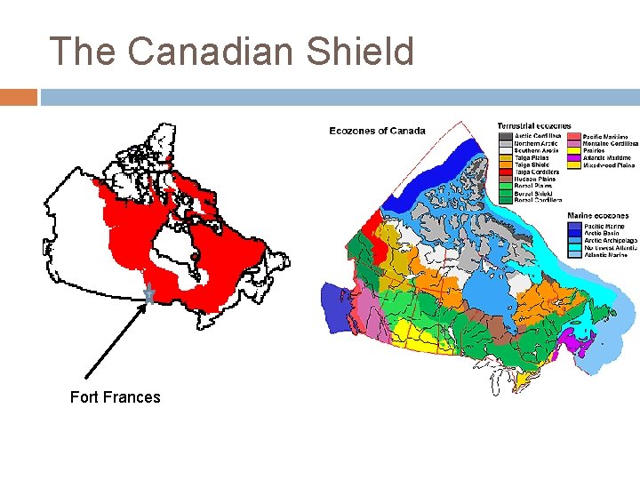 ECOZONES ECOZONE Definition Ecozone Region based on its