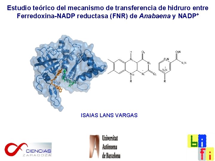 Estudio terico del mecanismo de transferencia de hidruro