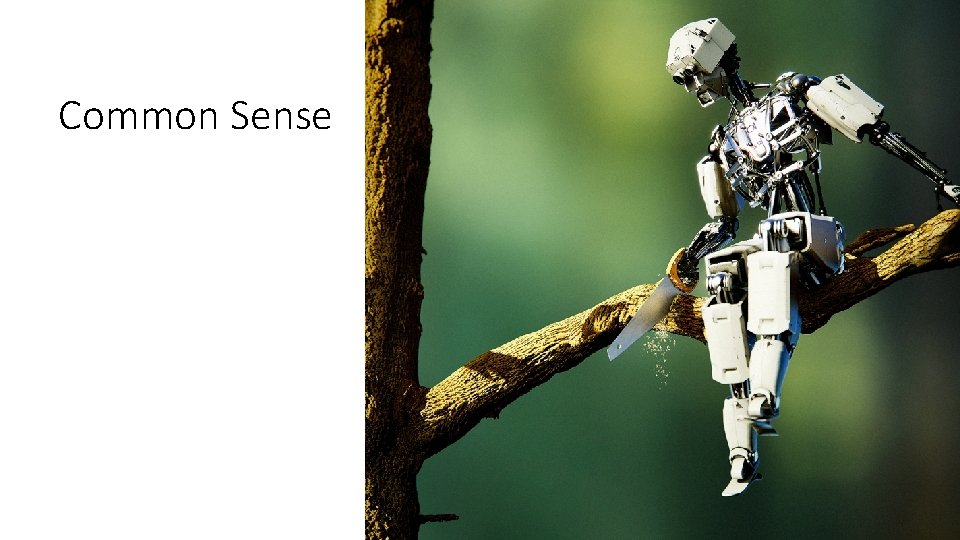 Building AI We Can Trust Ernest Davis Work