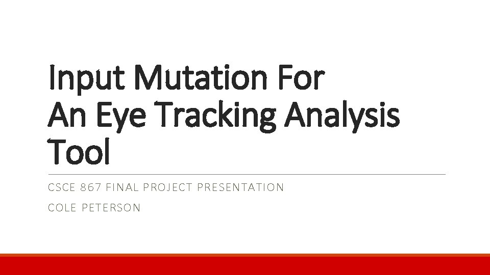 Input Mutation For An Eye Tracking Analysis Tool