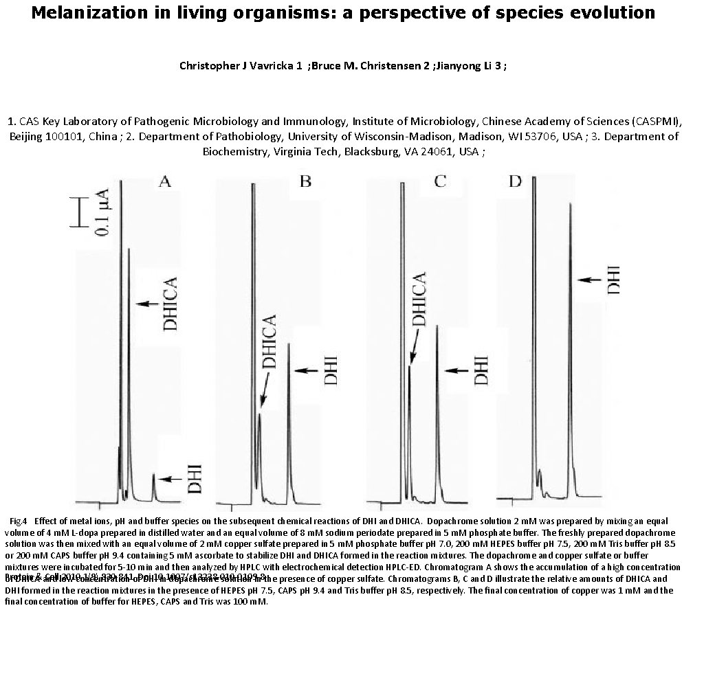 Melanization in living organisms a perspective of species