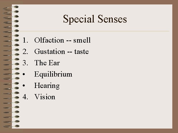 Human Anatomy Special Senses Special Senses 1 2