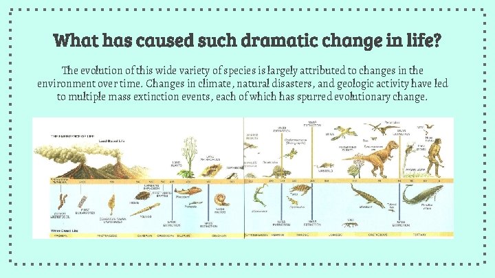 TOPIC 1 The Earth Through Time GEOLOGICAL TIME