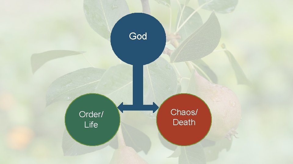 HEBREWS 3 7 4 13 REMEMBERING SABBATH ENTERING