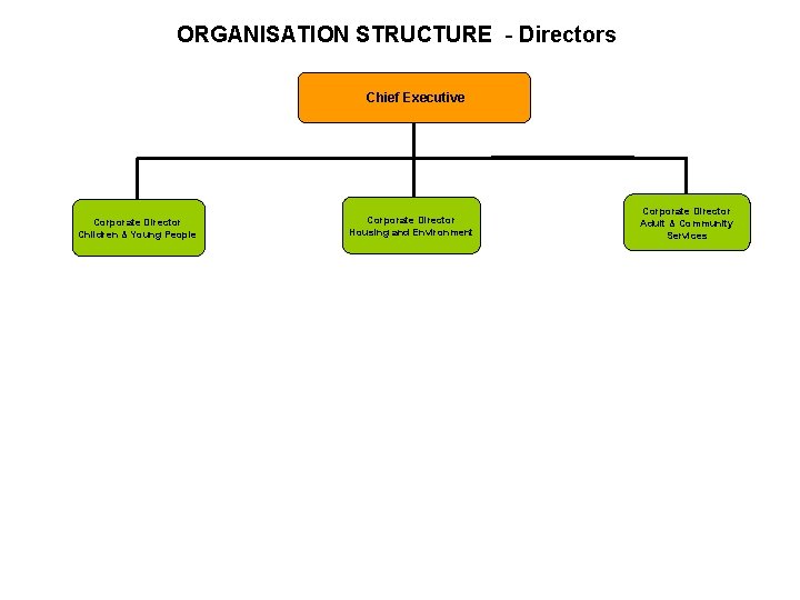 Organisational Chart ORGANISATION STRUCTURE Directors Chief Executive ...
