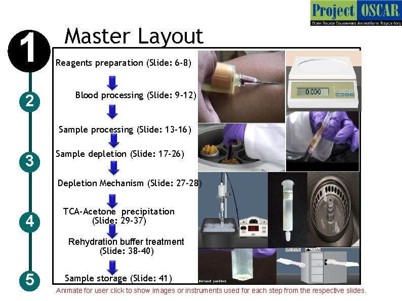 Methodology for the extraction of proteins from serum