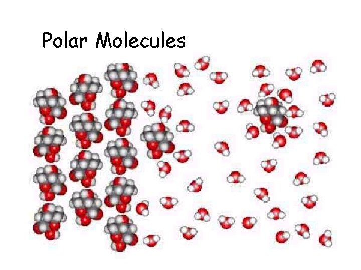 Solutions Acids Bases and Solubility Objective 4 TEK