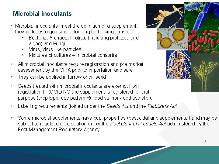Regulation of microbial inoculants and micronutrients under the
