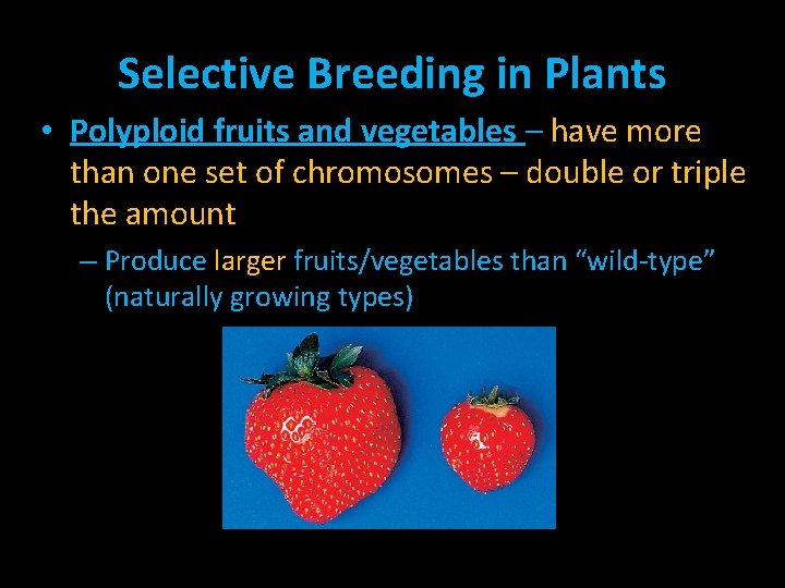 BIOTECHNOLOGY CHAPTER 16 What is Biotechnology The exploitation