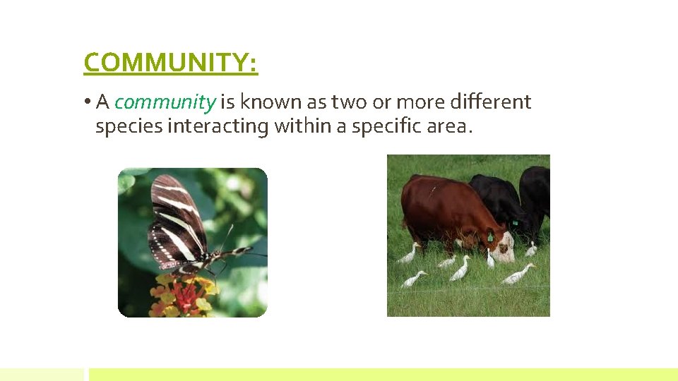 Unit 6 Biodiversity The key to sustainability of