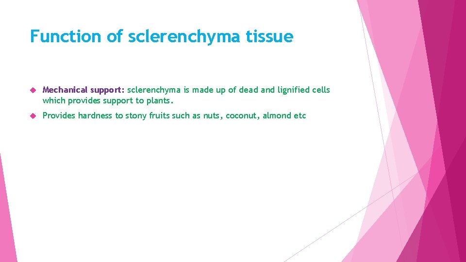 TISSUE PERMANENT TISSUE Lectured by Kartick Chandra Characteristics