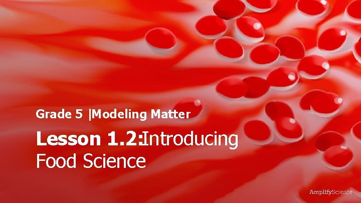 Grade 5 Modeling Matter Lesson 1 2 Introducing