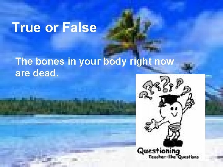 What is pictured below Topic for today Human