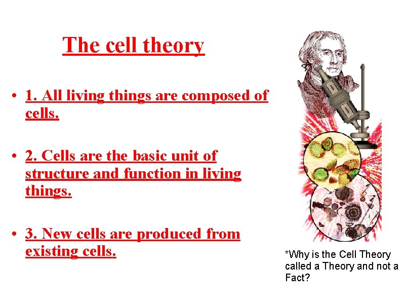 Early Contributions Robert Hooke First person to see