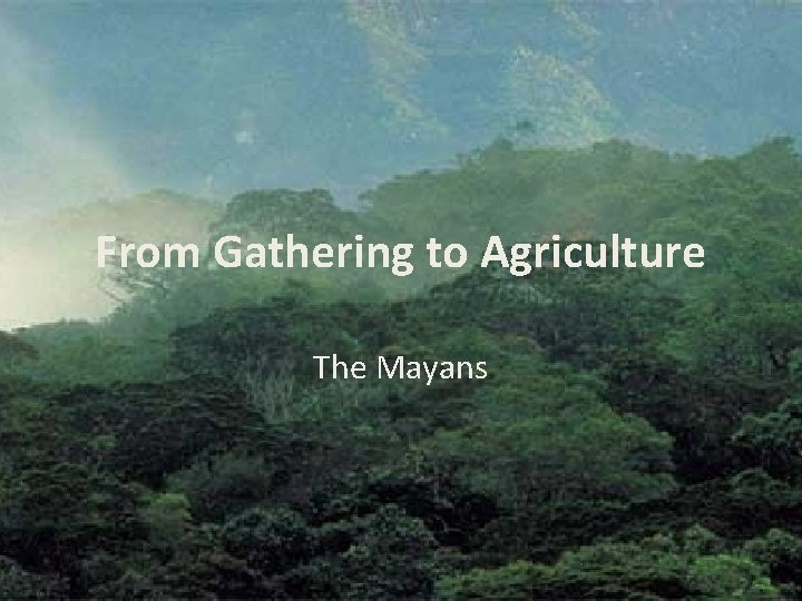 From Gathering to Agriculture The Mayans Why Farming