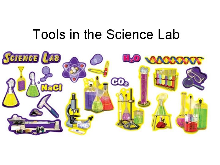 Tools in the Science Lab 1 metric ruler
