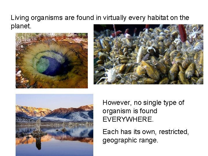 Physical Setting Living organisms are found in virtually