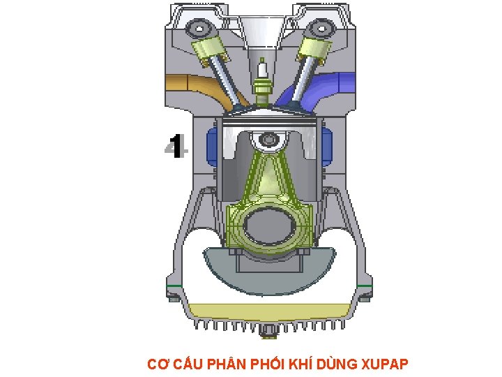 C CU PH N PHI KH DNG XUPAP