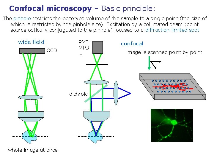 CZECH TECHNICAL UNIVERSITY IN PRAGUE FACULTY OF BIOMEDICAL