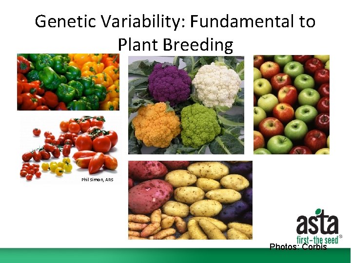 Innovation in Plant Breeding National Council of Farmer