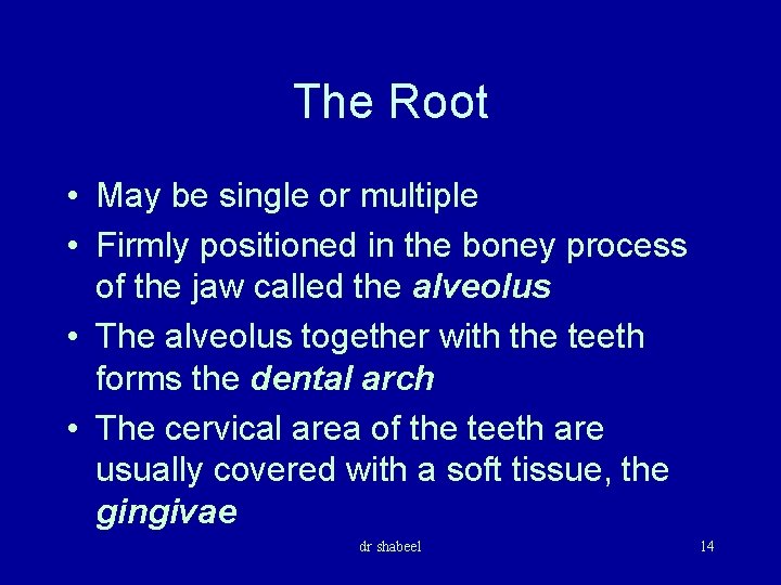 Dental Anatomy dr shabeel 1 Nomenclature Maxilla Mandible