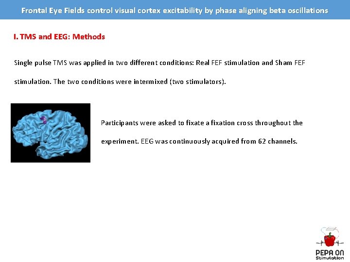Investigating the role of brain oscillations in corticocortical