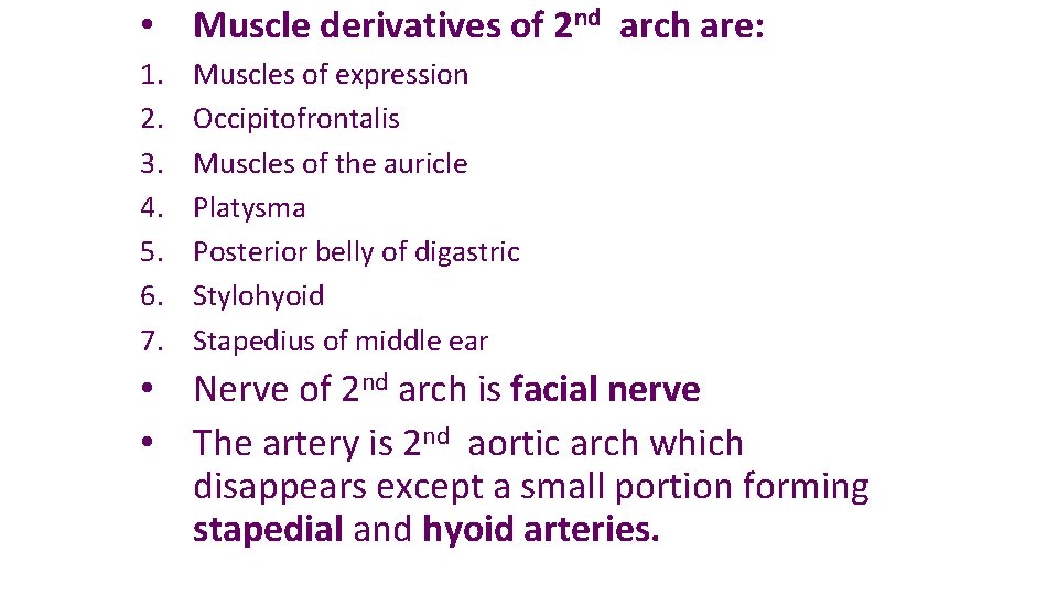 DEVELOPMENT OF SKELETAL MUSCLES Paraxial mesoderm Gives rise