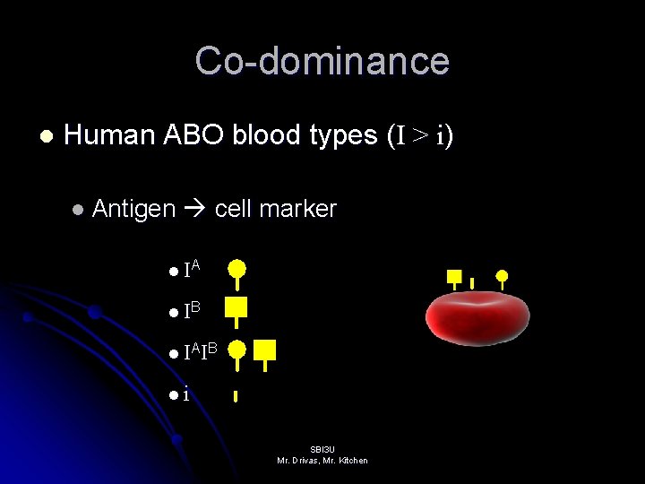 Beyond Mendelian Genetics Multiple Alleles Codominance Incomplete Dominance