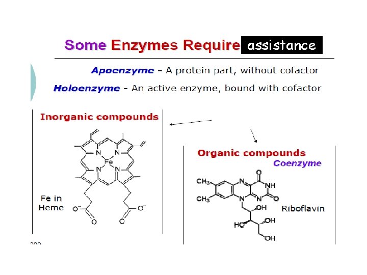 Enzymes Definition of an enzyme Enzyme is protein
