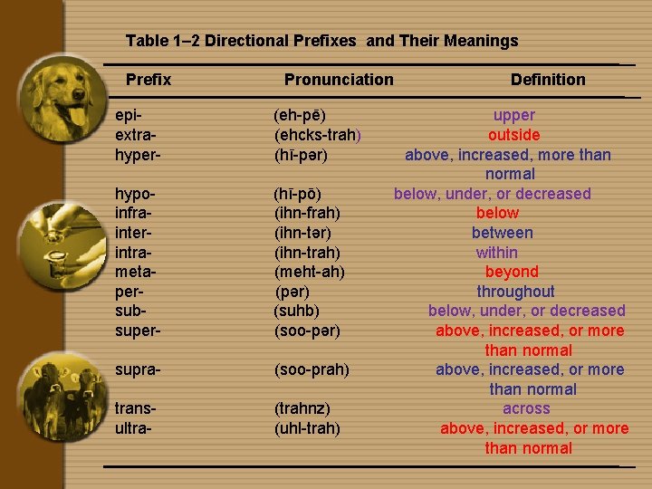 Chapter 1 Ready Set Go Introduction to Veterinary