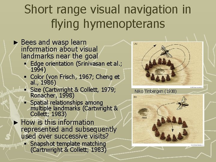 When do honey bees use snapshots during navigation
