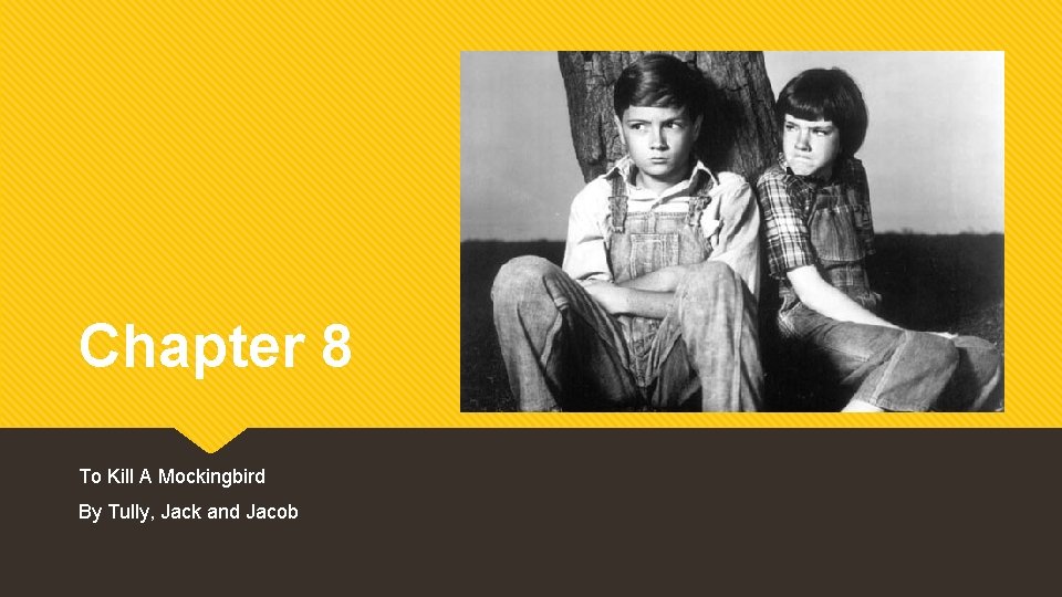 Chapter 8 To Kill A Mockingbird By Tully