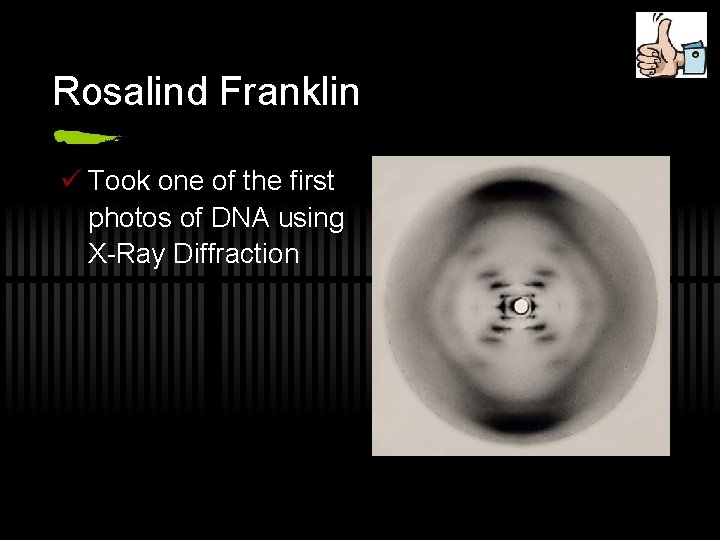 DNA Replication Notes DNA A k a Deoxyribonucleic