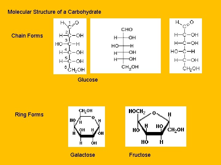 BIOLOGY Organic Compounds A Periodic Table Created and