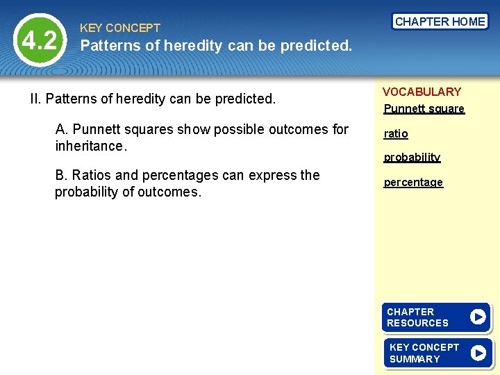 CHAPTER NEW CHAPTER Patterns of Heredity the BIG