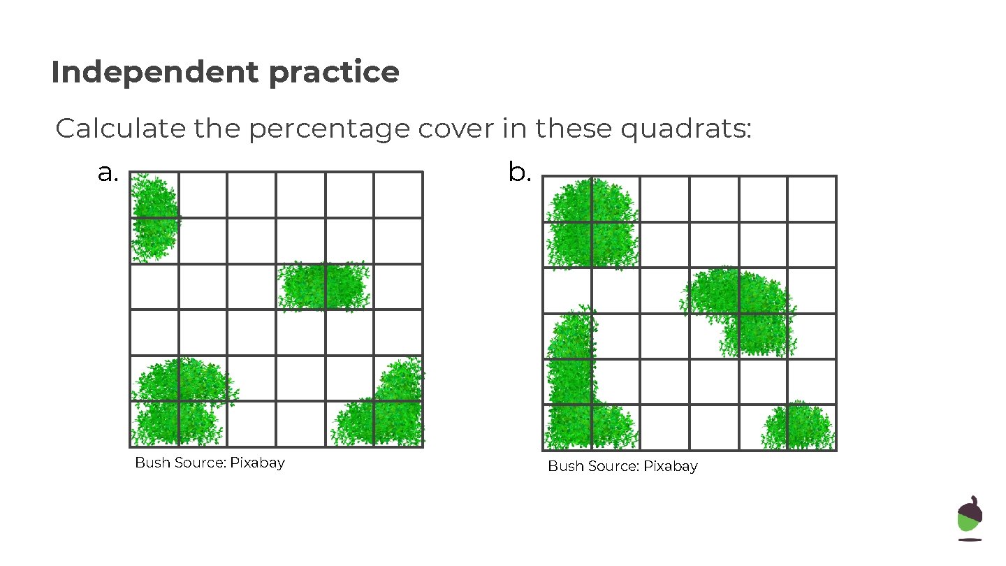 Combined science Biology Key stage 4 Ecology Sampling