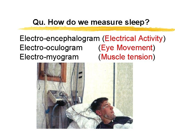 SLEEP EEG TODAY Mummy I Cant Sleep What