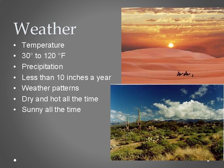 Desert Where is this biome Near the equator