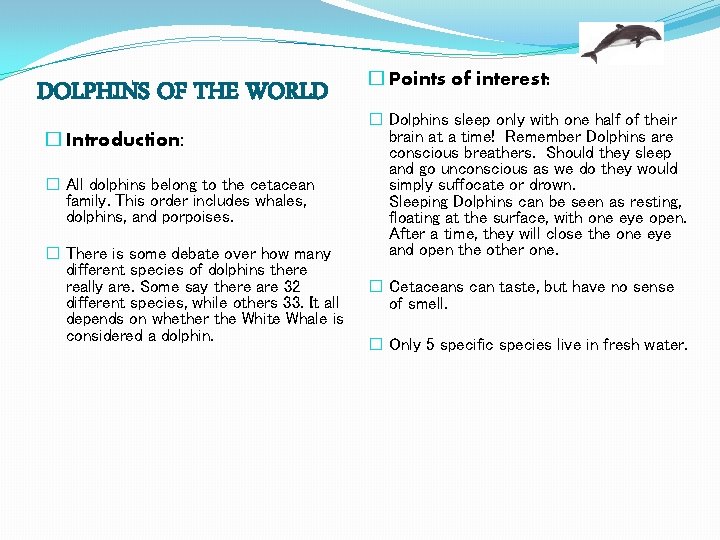 Dolphins of the World DOLPHINS OF THE WORLD