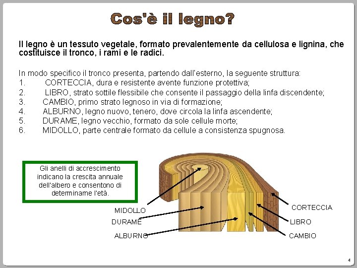 MATERIALI LEGNO 1 IERI E OGGI Centanni fa