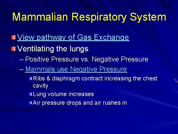 Circulation and Gas Exchange AP Biology Crosby High