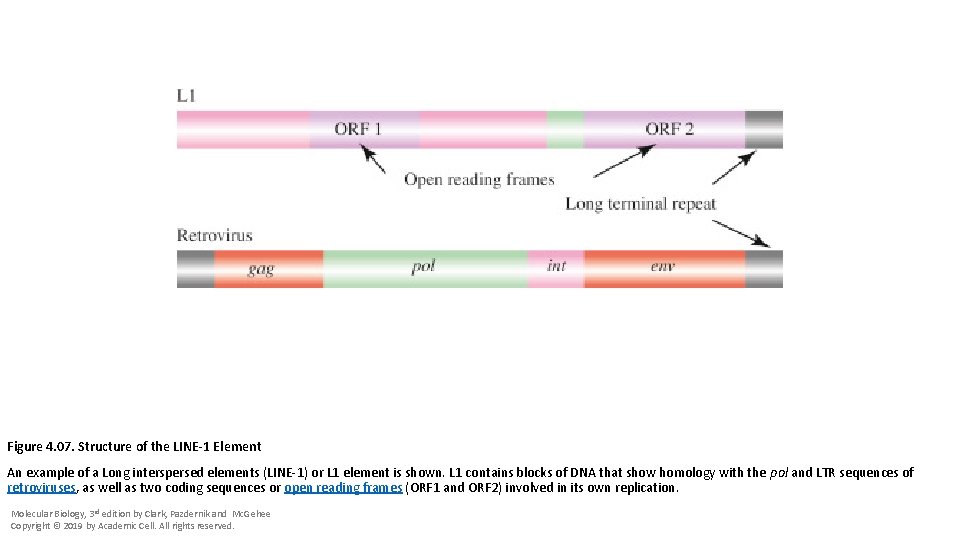 Unit 1 Basic Chemical and Biological Principals Chapter