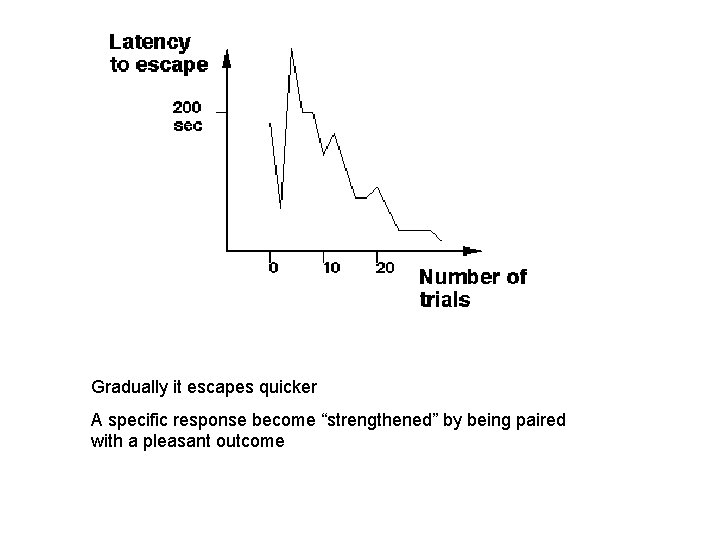 Types of Learning 1 Habituation 2 Classical Conditioning