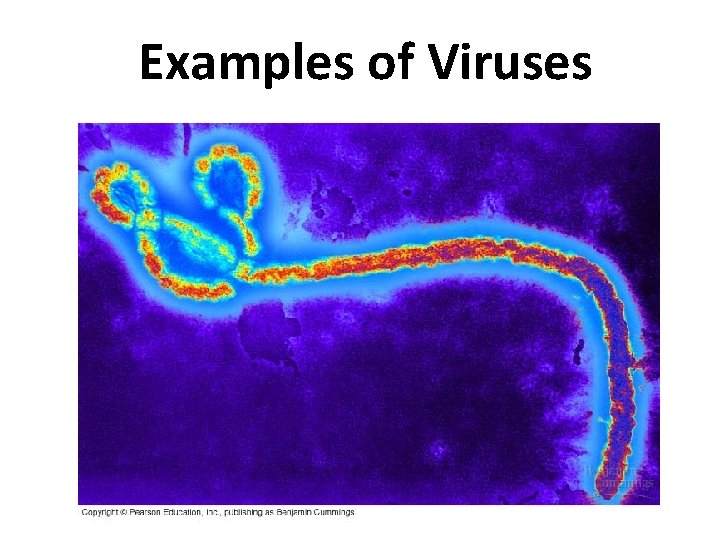 Good Afternoon Warm Up Scientific Investigation vocabulary sheet