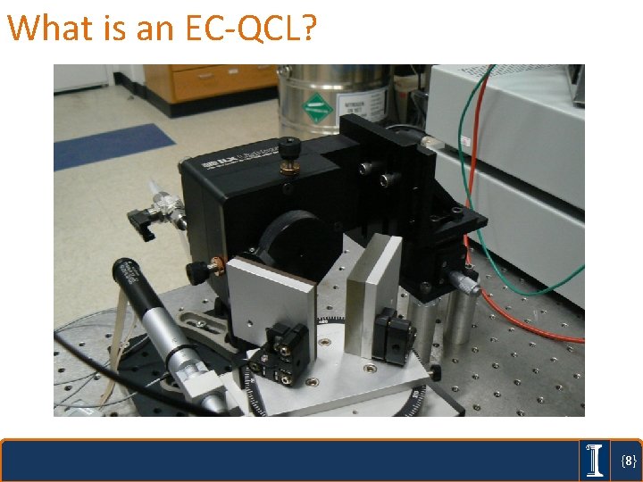 RotationallyResolved Infrared Spectroscopy of the 16 Band of