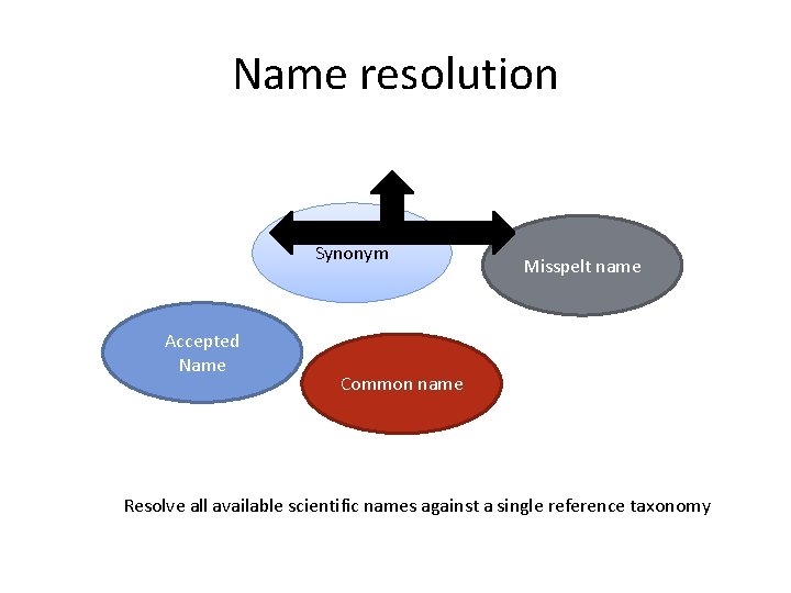 A curation interface for reconciliation of species names