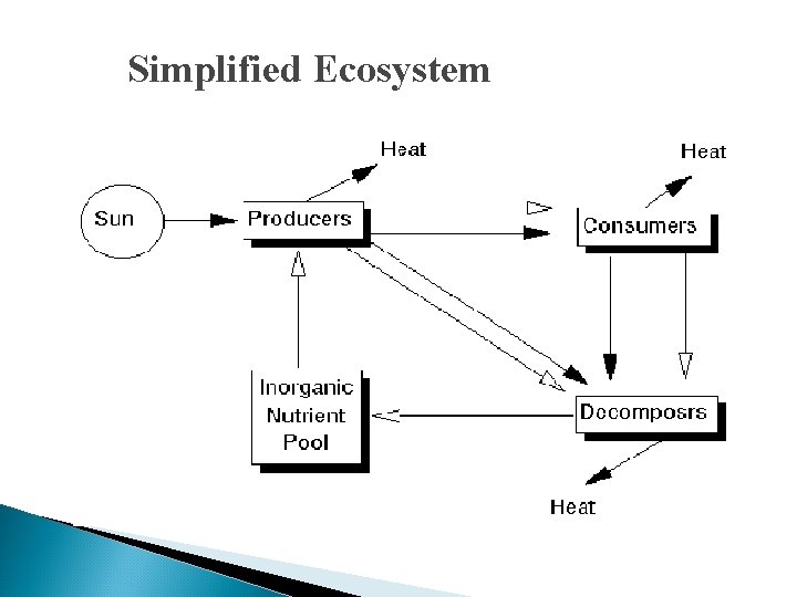 system sustainability Sustainable Development vs Sustainability ...