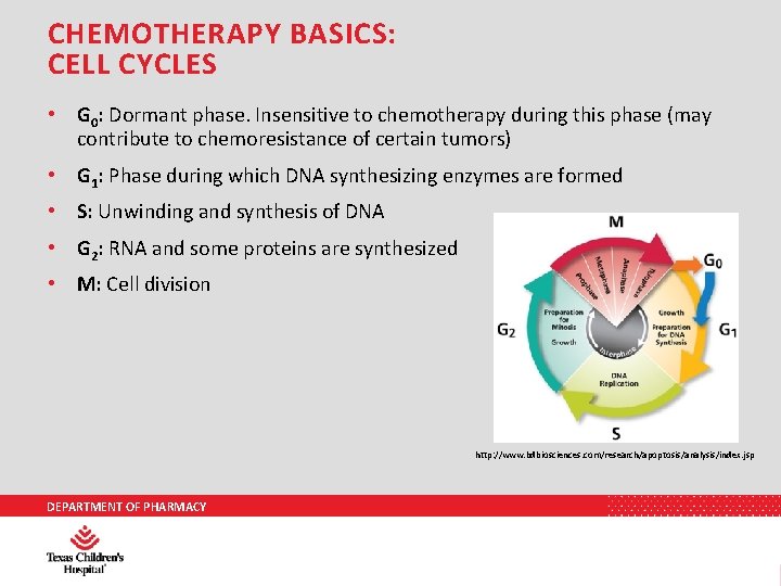 Pediatric Oncology Chemotherapy Pharmacology Amanda Berger Pharm D